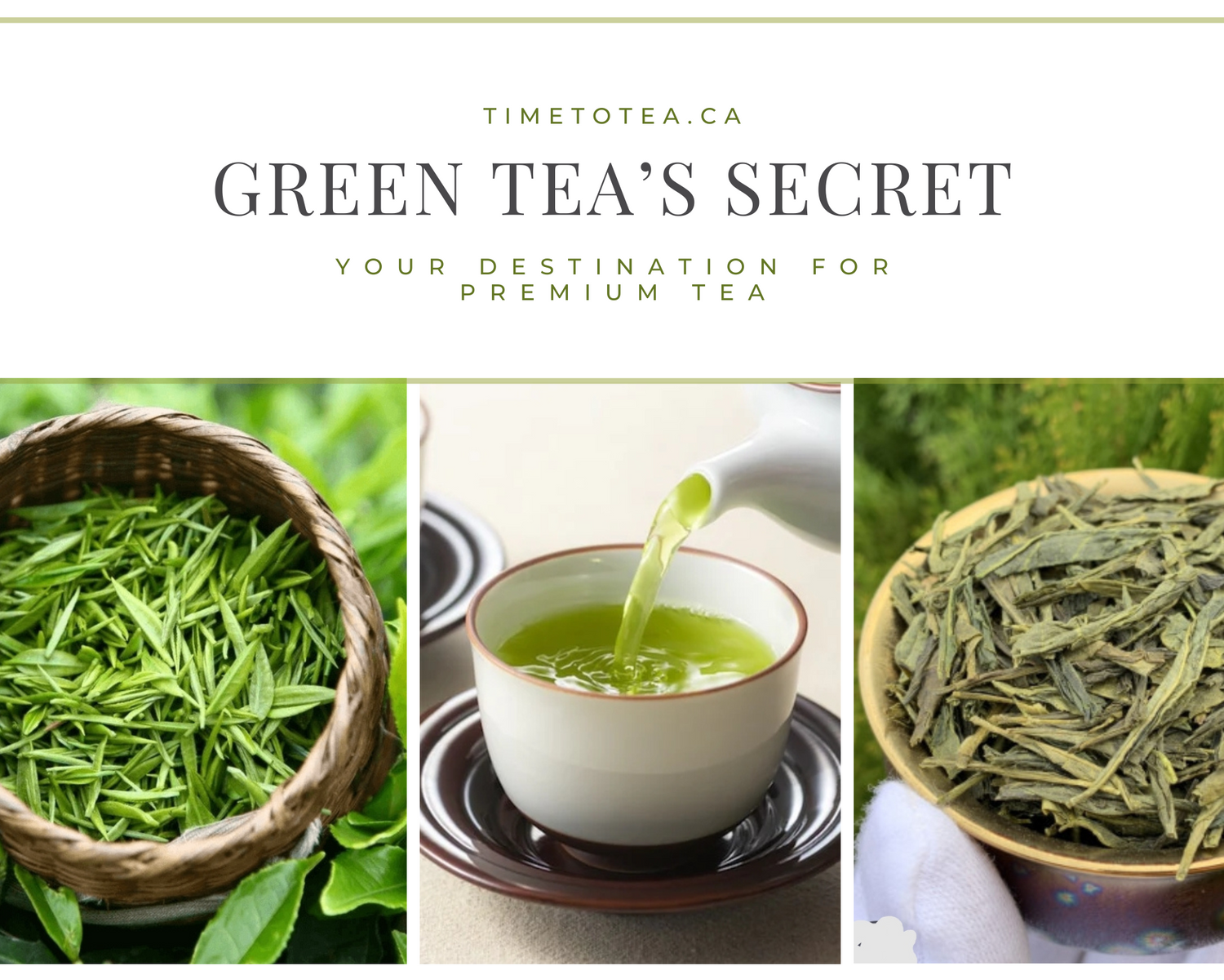 GREEN TEA's SECRET – Time to Tea